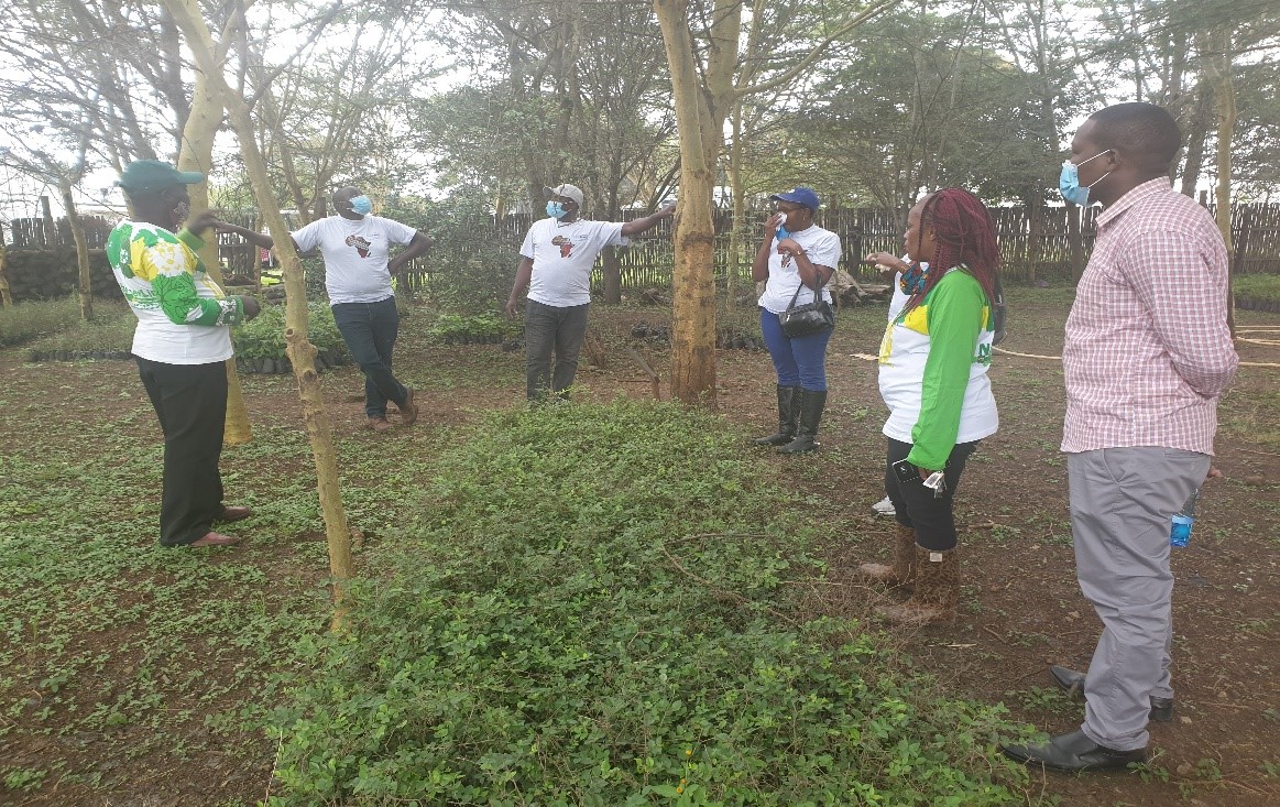 Tree planting at the Nairobi National Park – KenTrade
